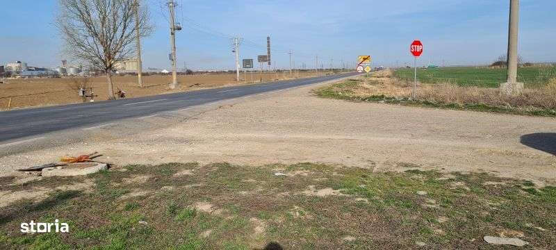 8 000 m², teren de vanzare - Ialomita (judet), Tandarei - 10045655 ...