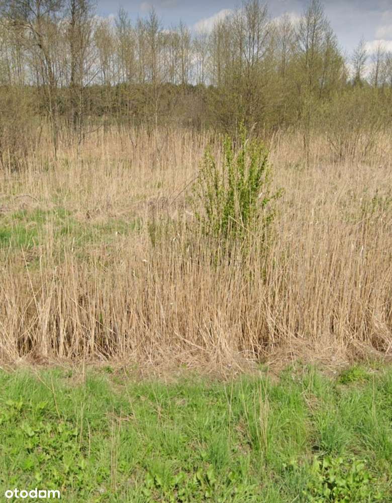 2 045 m², działka na sprzedaż - Łochów, węgrowski, mazowieckie ...