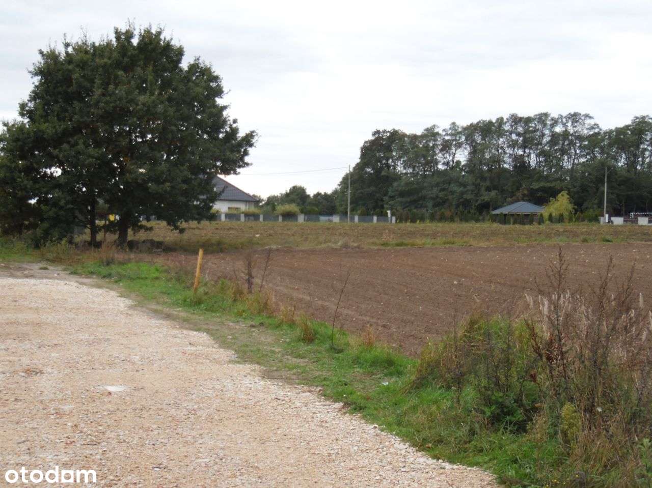 1 488 m², działka na sprzedaż - Radwanice, polkowicki, dolnośląskie ...