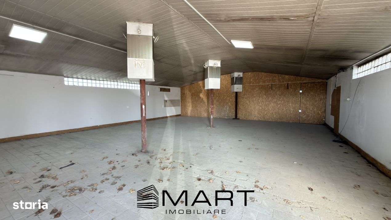 130 m², depozit / hala de inchiriat - Sibiu (judet), Terezian ...
