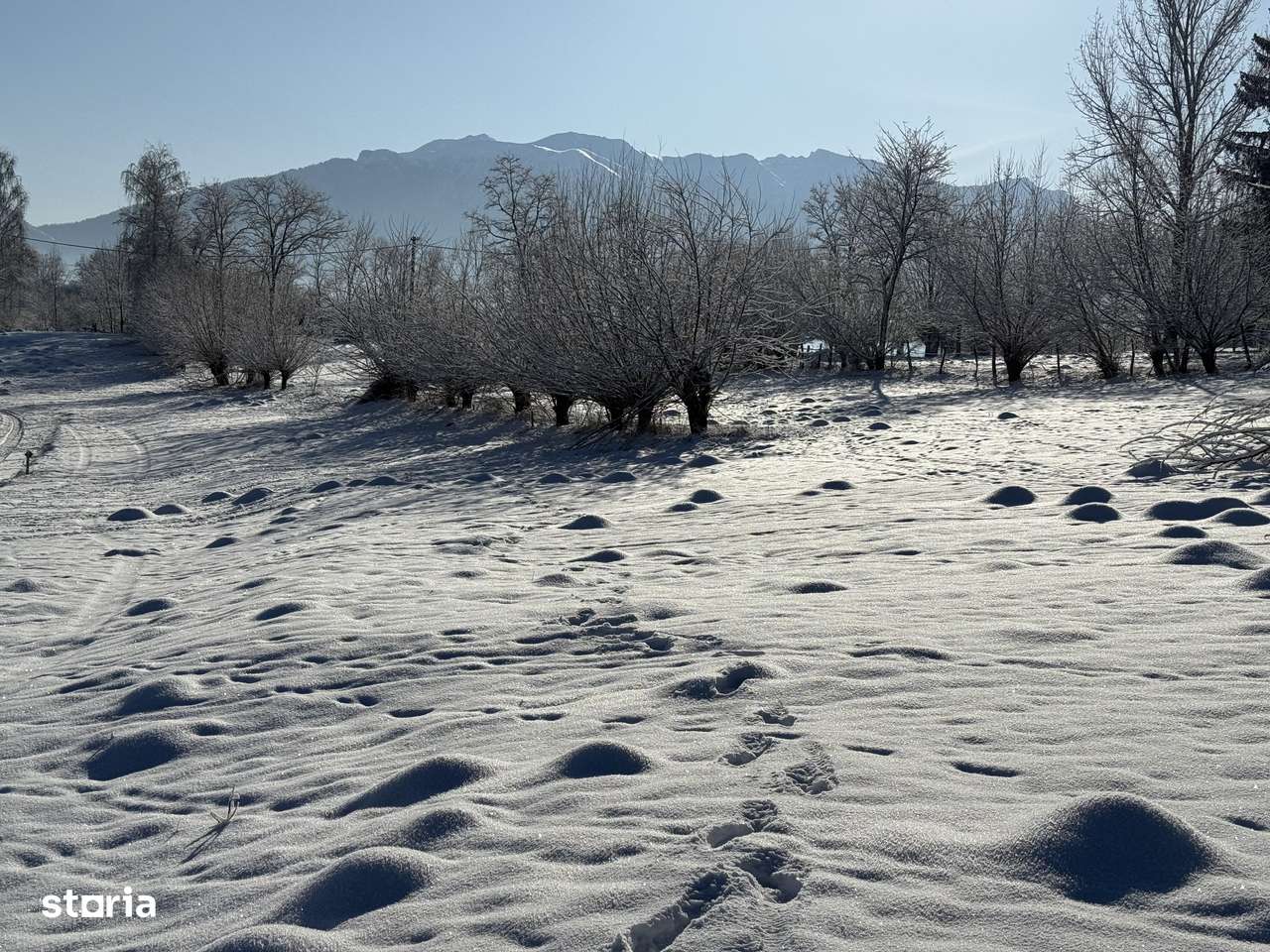 500 m², teren de vanzare - Brasov (judet), Moieciu de Jos - 9322378 ...