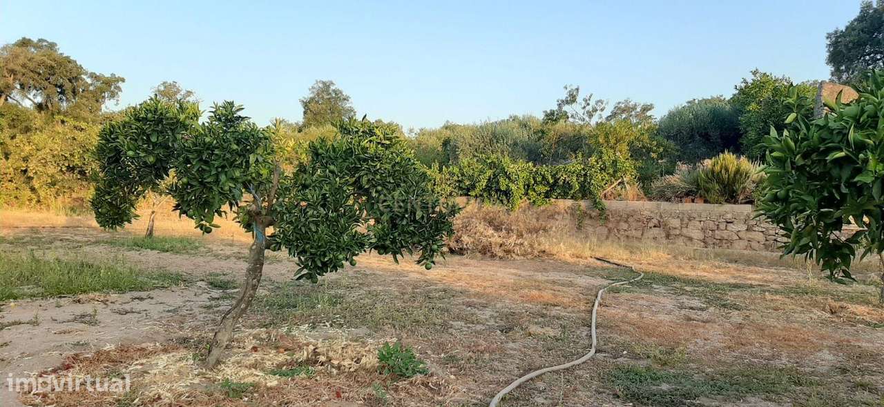 17 625 m², terreno para comprar - Escalos de Cima e Lousa, Castelo ...