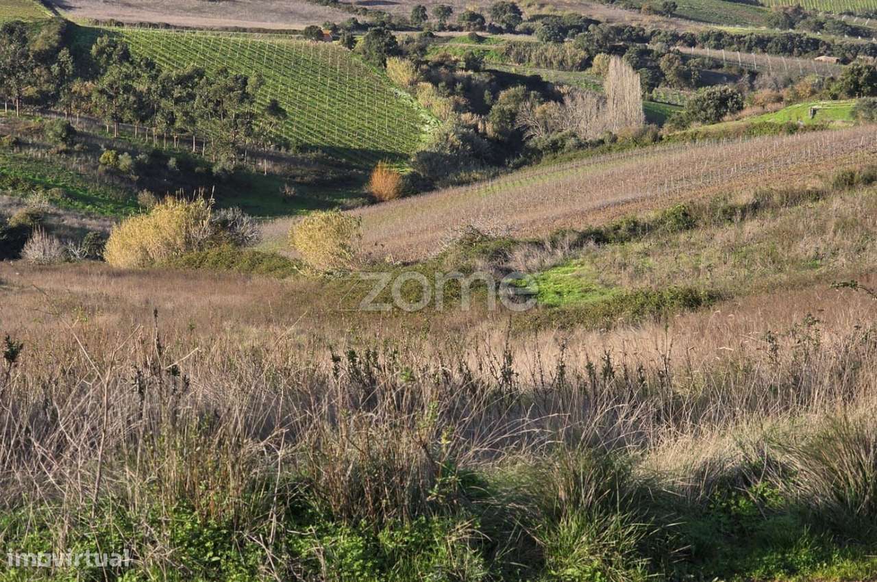 22 400 m², terreno para comprar - 2565-779, Turcifal - 19005057 • www ...