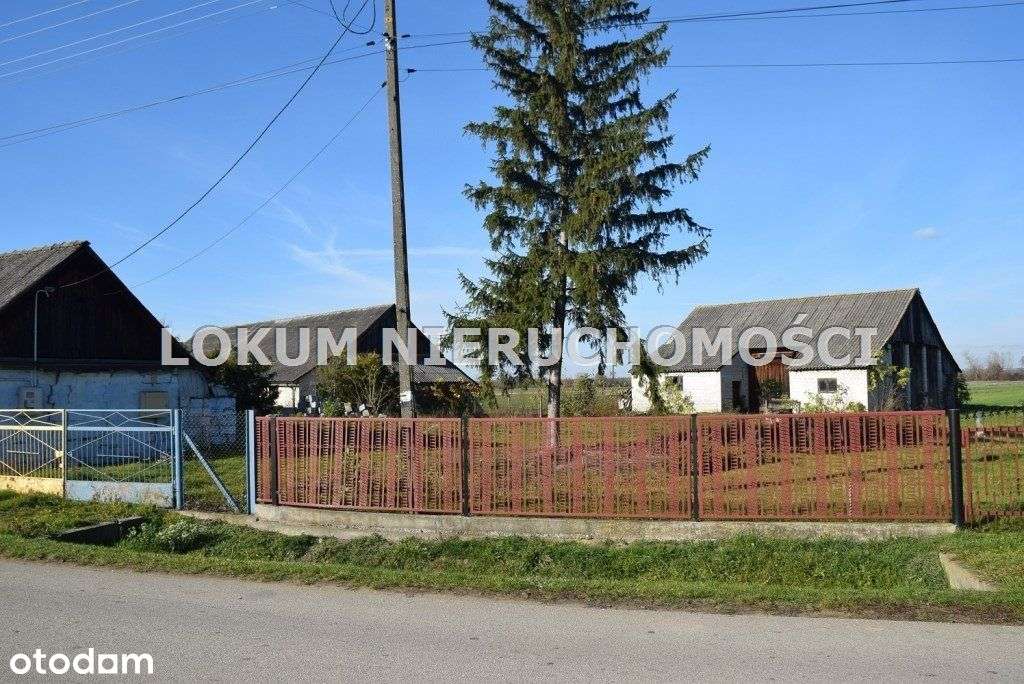 11 700 m², działka na sprzedaż - Brzostków, buski, świętokrzyskie ...