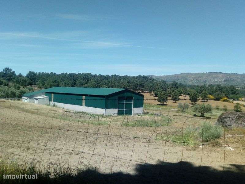 150 000 m², terreno para comprar - Açores e Velosa, Celorico da Beira ...