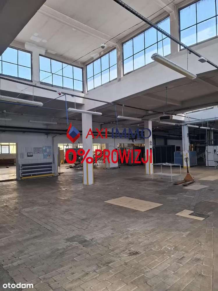 24 000 m², hala/magazyn na sprzedaż - Racibórz, raciborski, śląskie ...