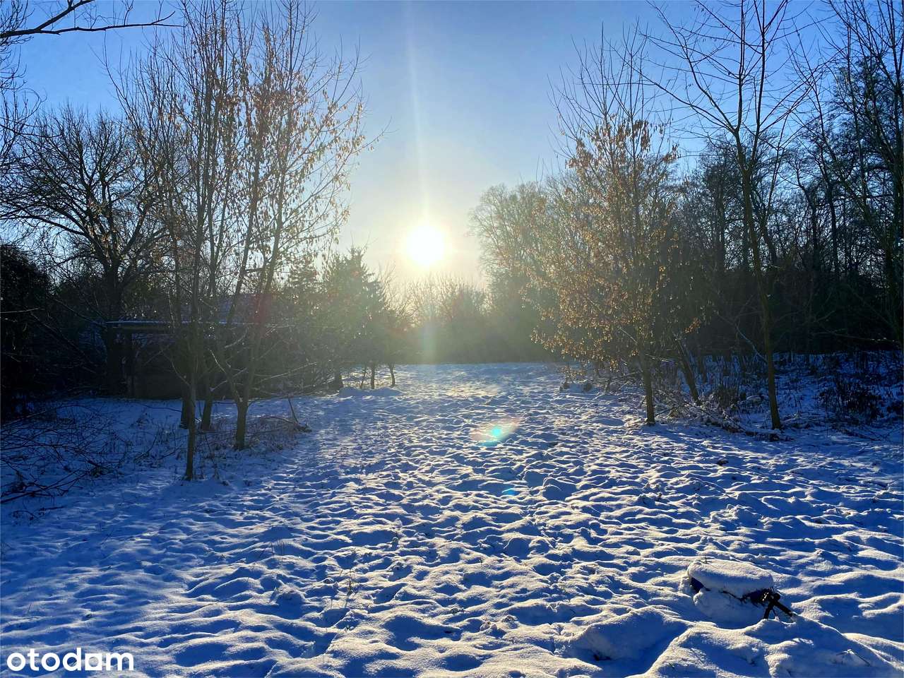 31 500 m², działka na sprzedaż - ul. Czysta, Kiekrz - 67597428 • www ...