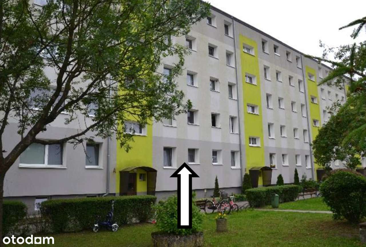 2 pokoje, mieszkanie na sprzedaż - ul. Sulechowska, Kargowa - 67649383 ...