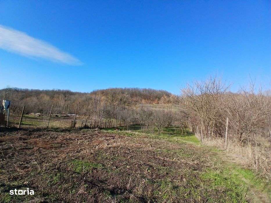 1 600 m², teren de vanzare - Olt (judet), Teslui - 10045627 • www.storia.ro