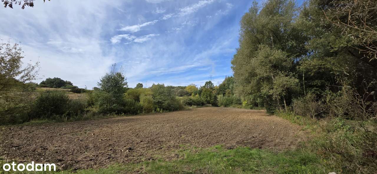 3 710 m², działka na sprzedaż - Książniczki, krakowski, małopolskie ...