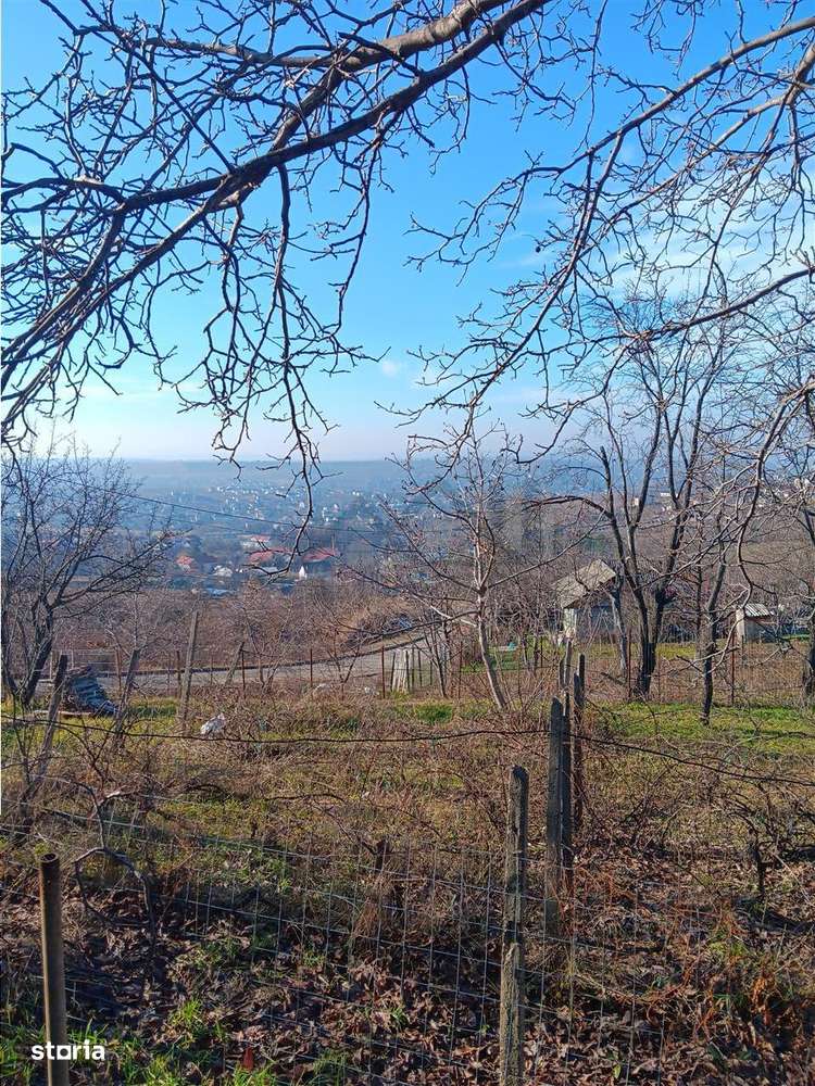 1 500 m², teren de vanzare - Iasi (judet), Bucium - 10052329 • www ...