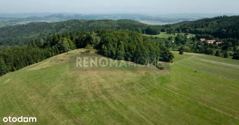 350 m², działka na sprzedaż - Pastewnik, kamiennogórski, dolnośląskie ...