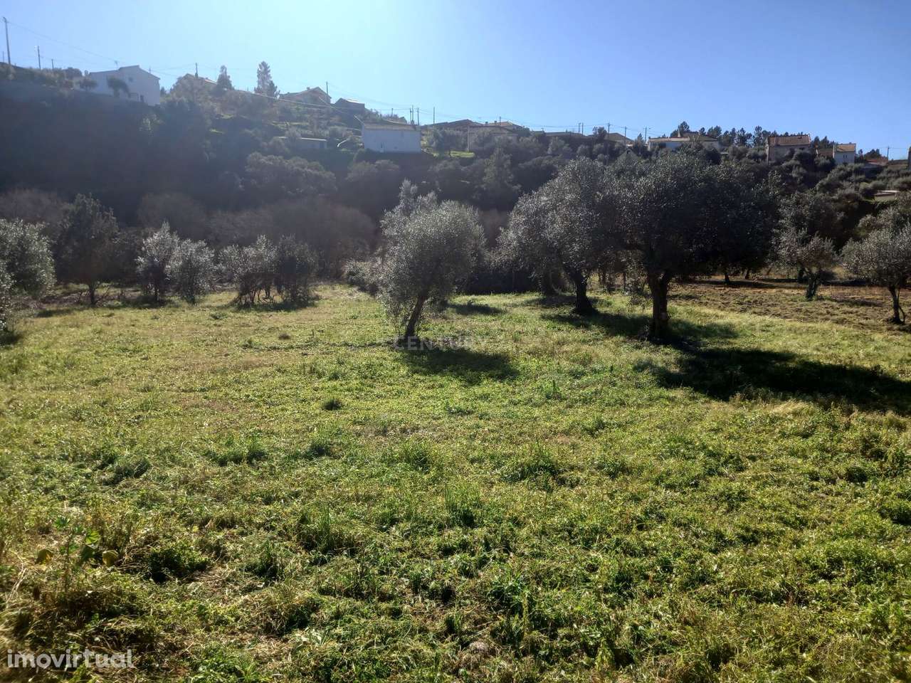 Quintinha em Sesmo, Junto á praia fluvial, Sarzedas | Imovirtual