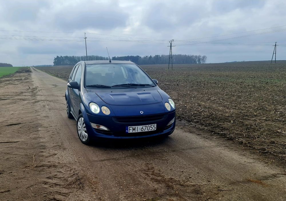 Smart Forfour I Lubuskie - Samochody Osobowe - Otomoto.pl