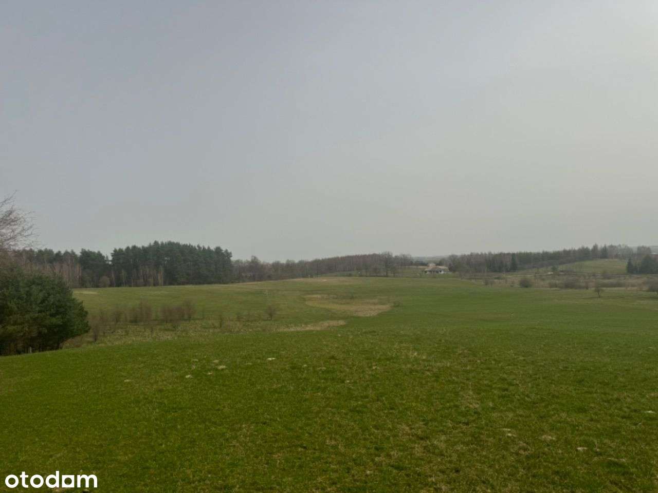 1 002,50 m², działka na sprzedaż - Blanki, lidzbarski, warmińsko ...