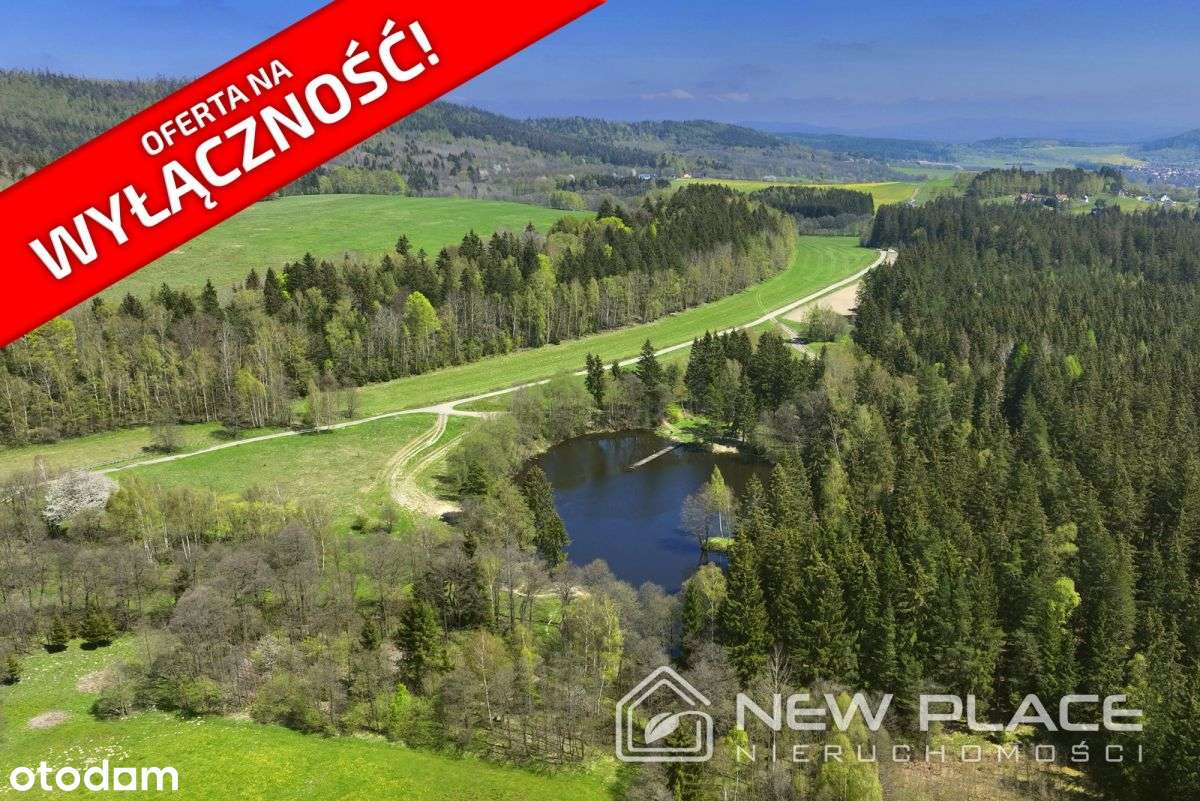 1 001 m², działka na sprzedaż - Szczytna, kłodzki, dolnośląskie ...