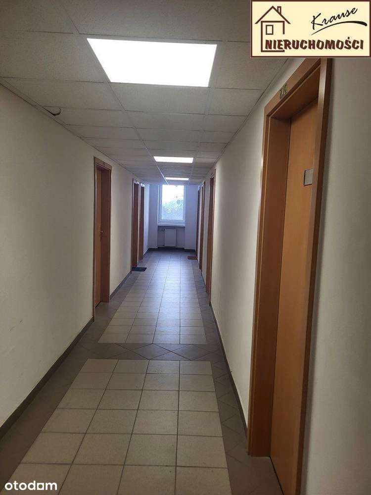 12,60 m², lokal użytkowy na wynajem - Poznań, Grunwald - 67587734 • www ...