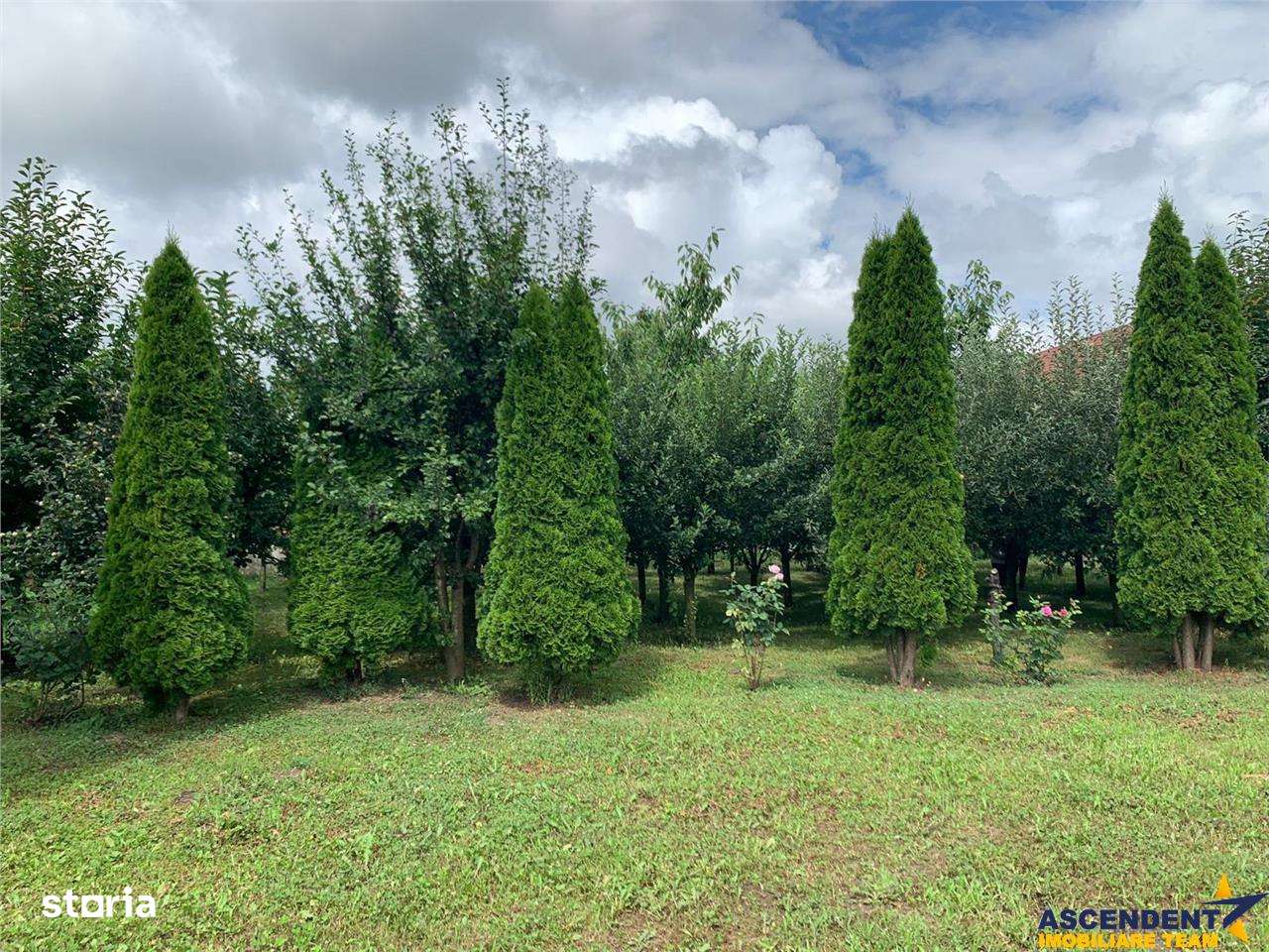 1 409 m², teren de vanzare - Mures (judet), Santana de Mures - 10010293 ...