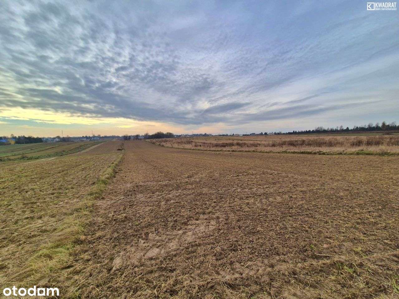 5 021 m², działka na sprzedaż - Dys, lubelski, lubelskie - 67561934 ...