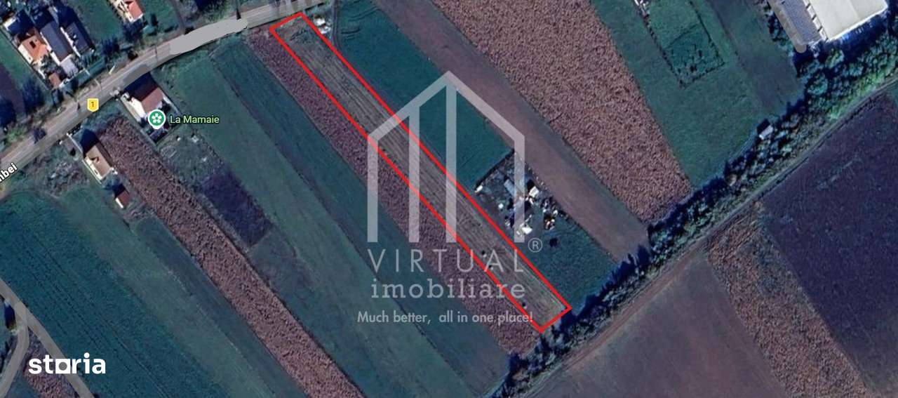 6 695 m², teren de vanzare - Sibiu (judet), Sura Mare - 10062863 • www ...