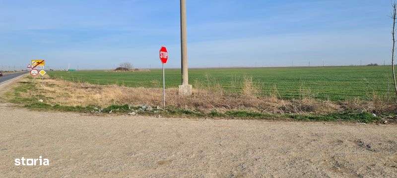 8 000 m², teren de vanzare - Ialomita (judet), Tandarei - 10045655 ...