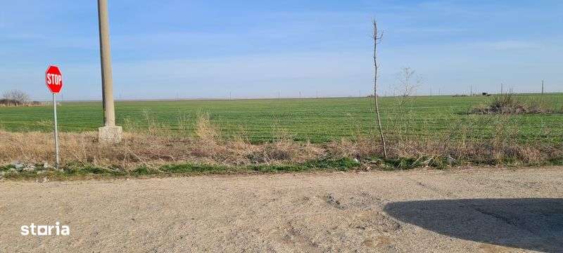 8 000 m², teren de vanzare - Ialomita (judet), Tandarei - 10045655 ...