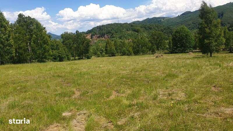 10 000 m², teren de vanzare - Hunedoara (judet), Banita - 8801799 • www ...