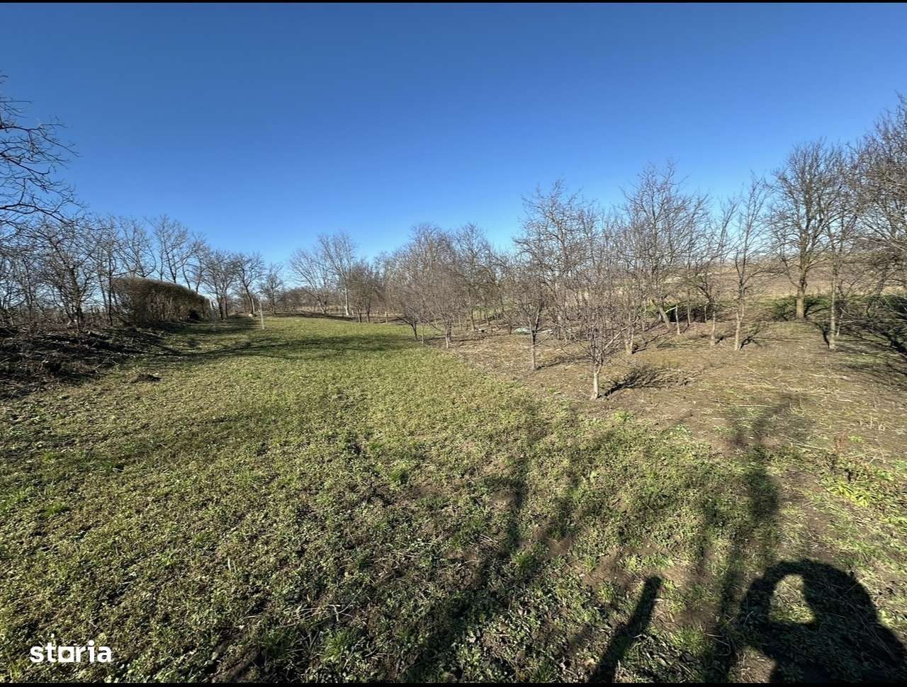 960 m², teren de vanzare - Satu Mare (judet), Ambud - 10127880 • www ...