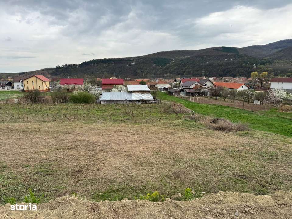 611 m², teren de vanzare - Alba (judet), Sard - 9480762 • www.storia.ro