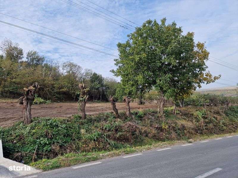 2 600 m², teren de vanzare - Vrancea (judet), Popesti - 10010606 • www ...