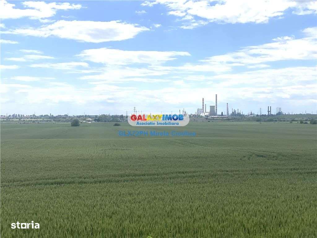 6 250 m², teren de vanzare - Prahova (judet), Chitorani - 9030709 • www ...