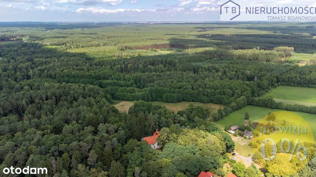 10+ pokoi, dom na sprzedaż - Piotrowo, szamotulski, wielkopolskie ...