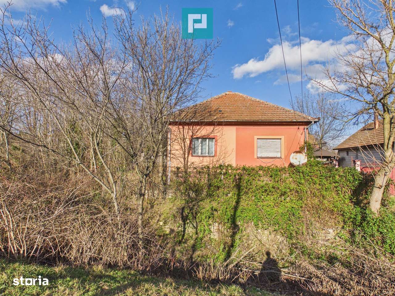 4 camere, casa de vanzare - Arad (judet), Araneag - 10089397 • www ...