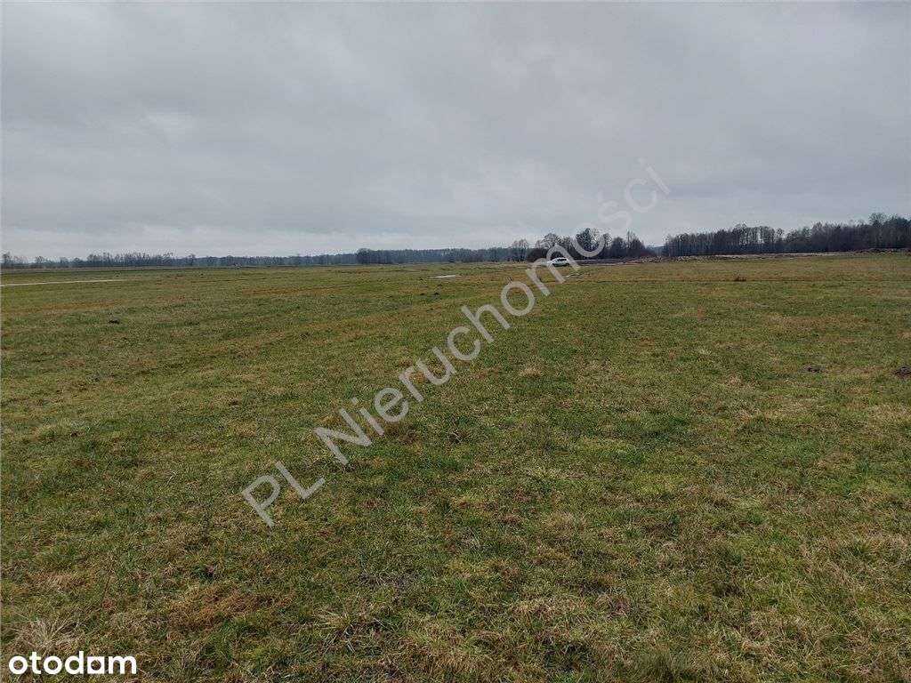 1 100 m², działka na sprzedaż - Tuł, wołomiński, mazowieckie - 67585598 ...