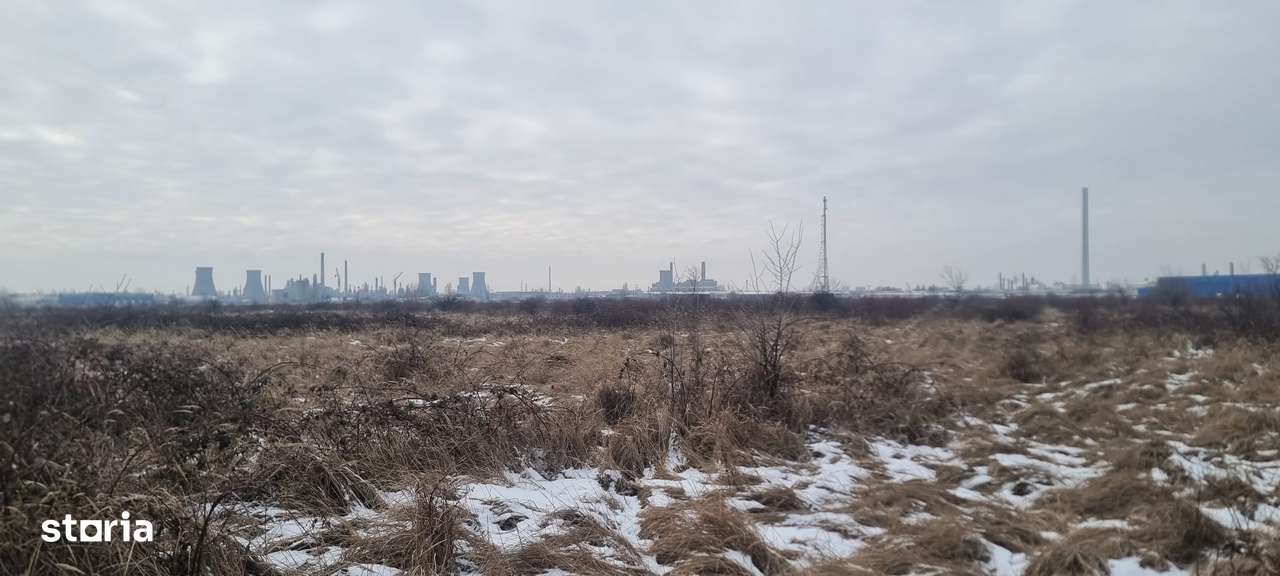 60 000 m², teren de vanzare - Arges (judet), Bradu - 10031148 • www ...