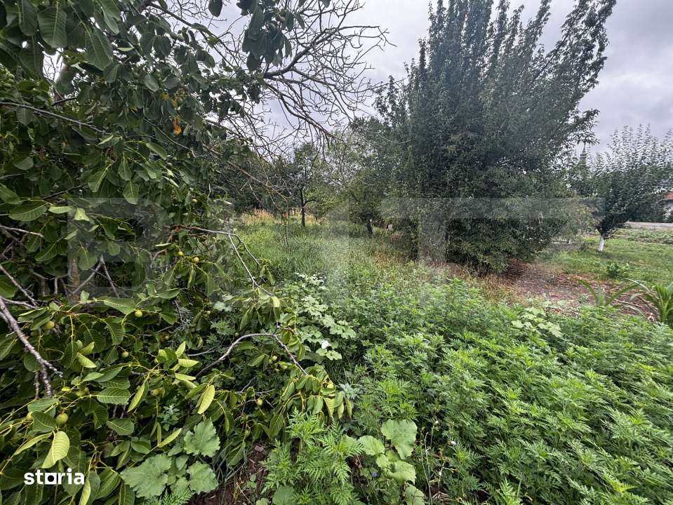 2 200 m², teren de vanzare - Satu Mare (judet), Cucu - 9990425 • www ...