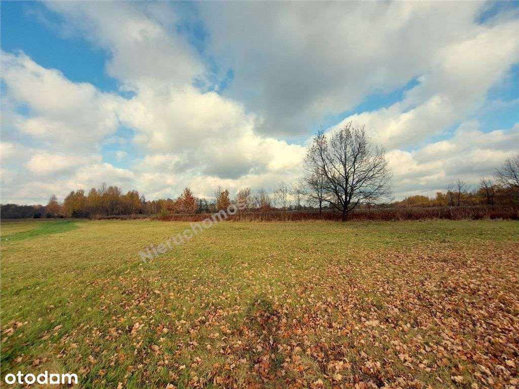 7 522 m², działka na sprzedaż - Duczki, wołomiński, mazowieckie ...