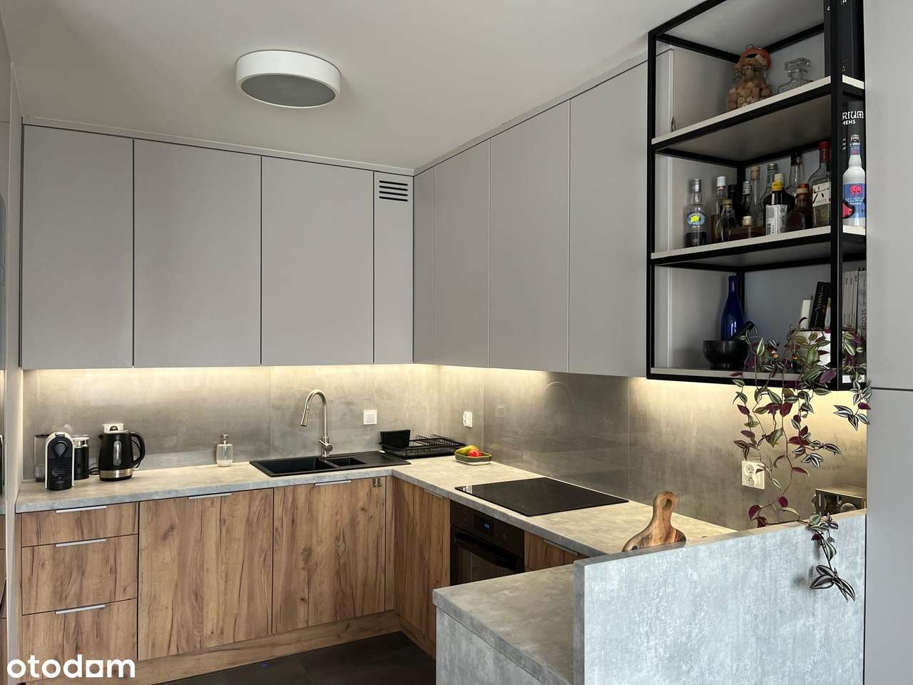 2 pokoje, mieszkanie na sprzedaż - Wrocław, Śródmieście, Ołbin ...