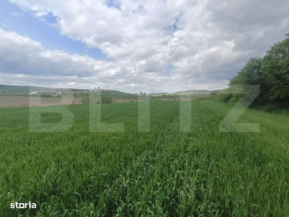 52 600 m², teren de vanzare - Alba (judet), Dumbrava - 9985717 • www ...