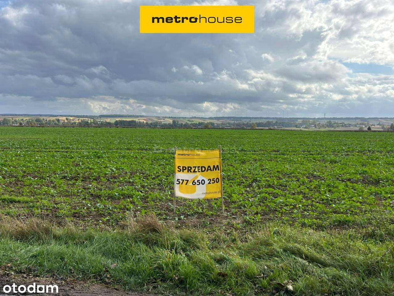 3 155 m², działka na sprzedaż - Zadworze, kraśnicki, lubelskie ...