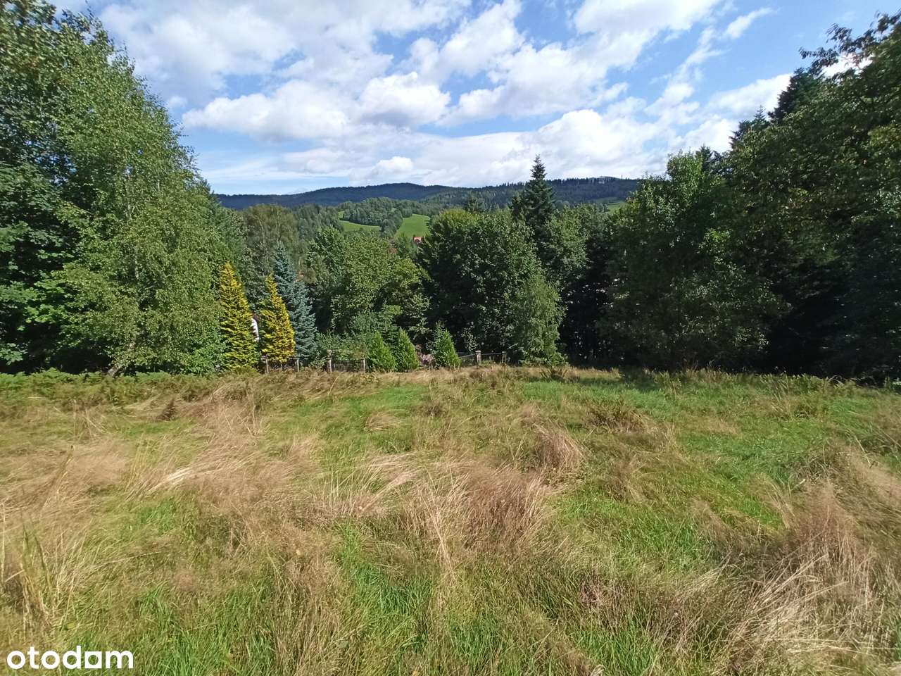 2 099 m², działka na sprzedaż - Brenna, cieszyński, śląskie - 66619497 ...