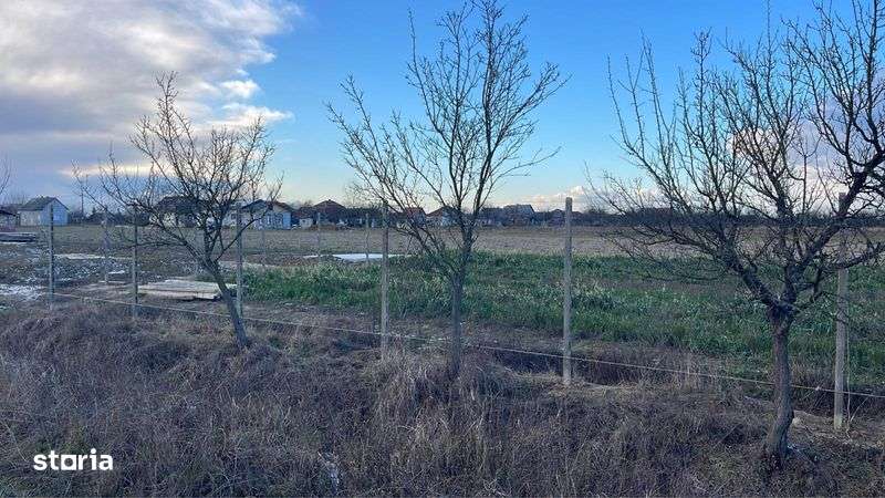 1 370 m², teren de vanzare - Satu Mare (judet), Cionchesti - 10064489 ...