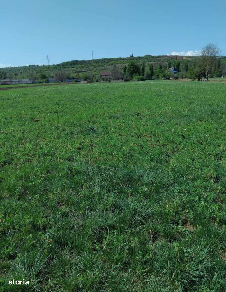1 200 m², teren de vanzare - Hunedoara (judet), Deva - 10076733 • www ...