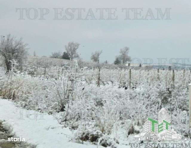 90 000 m², spatiu comercial de vanzare - Valcea (judet), Prundeni ...