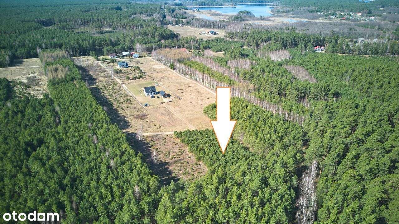 Biuro nieruchomości Augustów - Wioletta Mursztyn Nieruchomości | Otodom