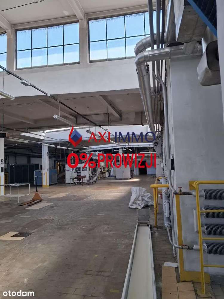 24 000 m², hala/magazyn na sprzedaż - Racibórz, raciborski, śląskie ...
