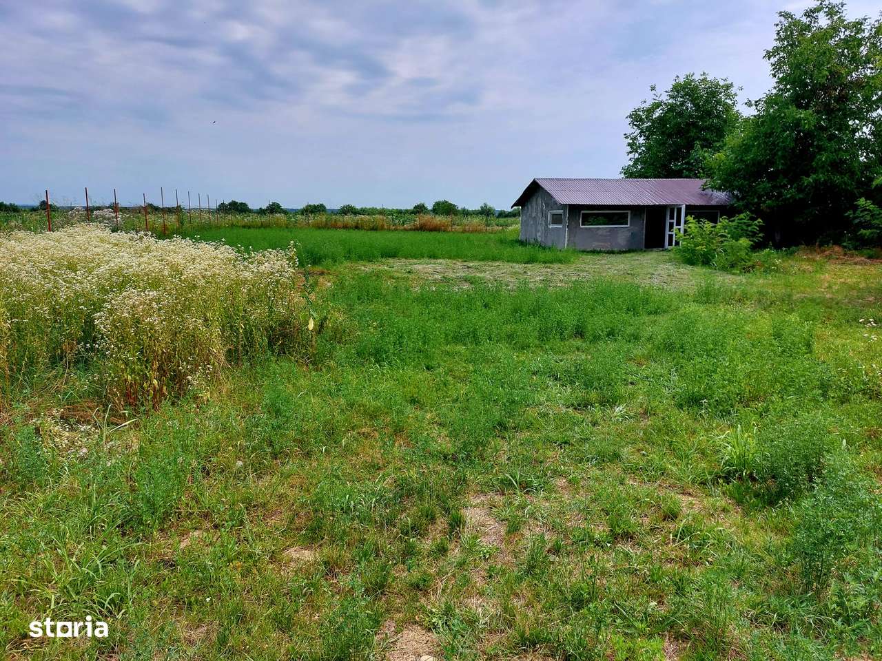 1 100 m², teren de vanzare - Dambovita (judet), Sacueni - 9603307 • www ...