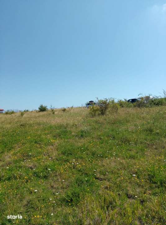 450 m², teren de vanzare - Cluj (judet), Chinteni - 9710384 • www.storia.ro