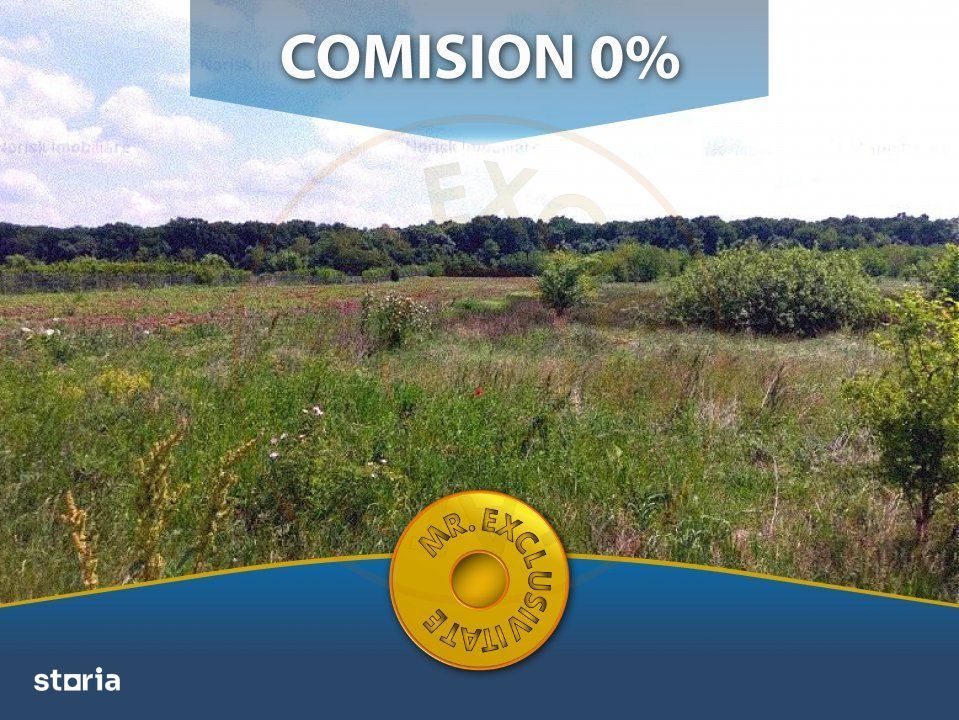12 568 m², teren de vanzare - Arges (judet), Cotmeana - 7432275 • www ... 12 568 m², teren de vanzare - Arges (judet), Cotmeana - 7432275 • www ...