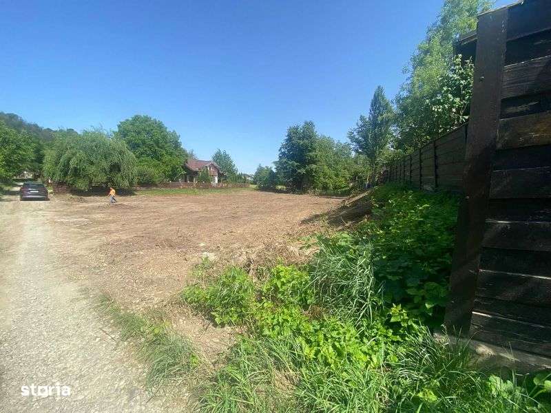 750 m², teren de vanzare - Neamt (judet), Viisoara - 8863637 • www ...